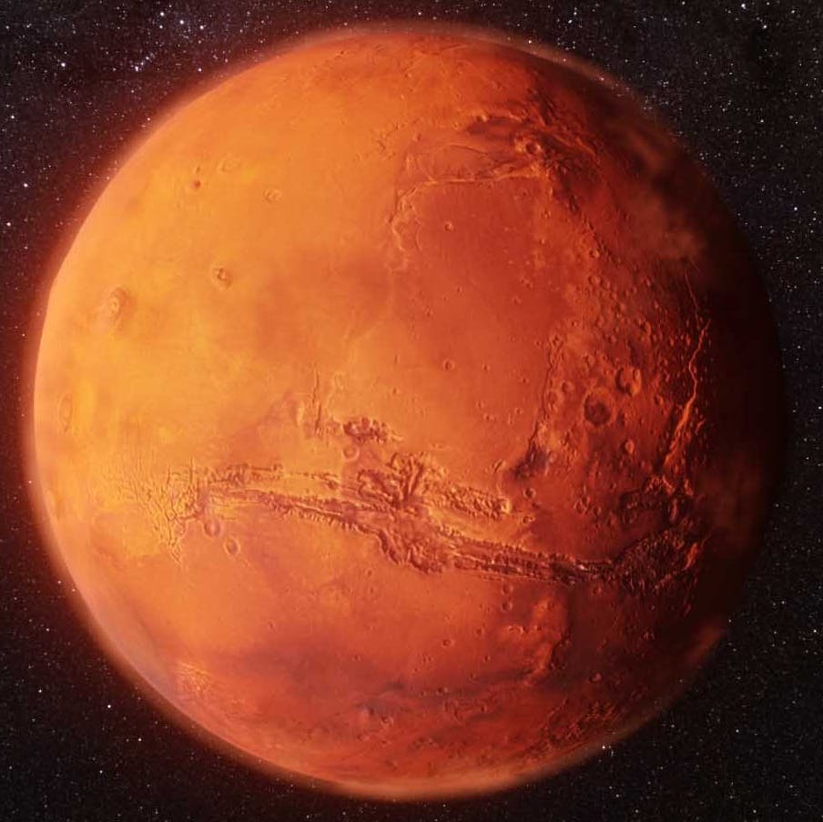 Planoly Creator Store | 🔥