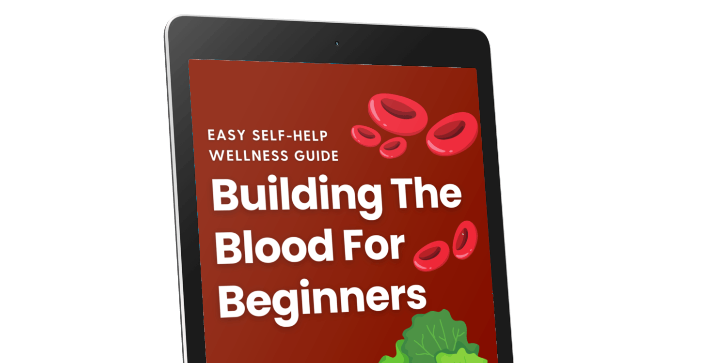 Building The Blood Guide | Snipfeed