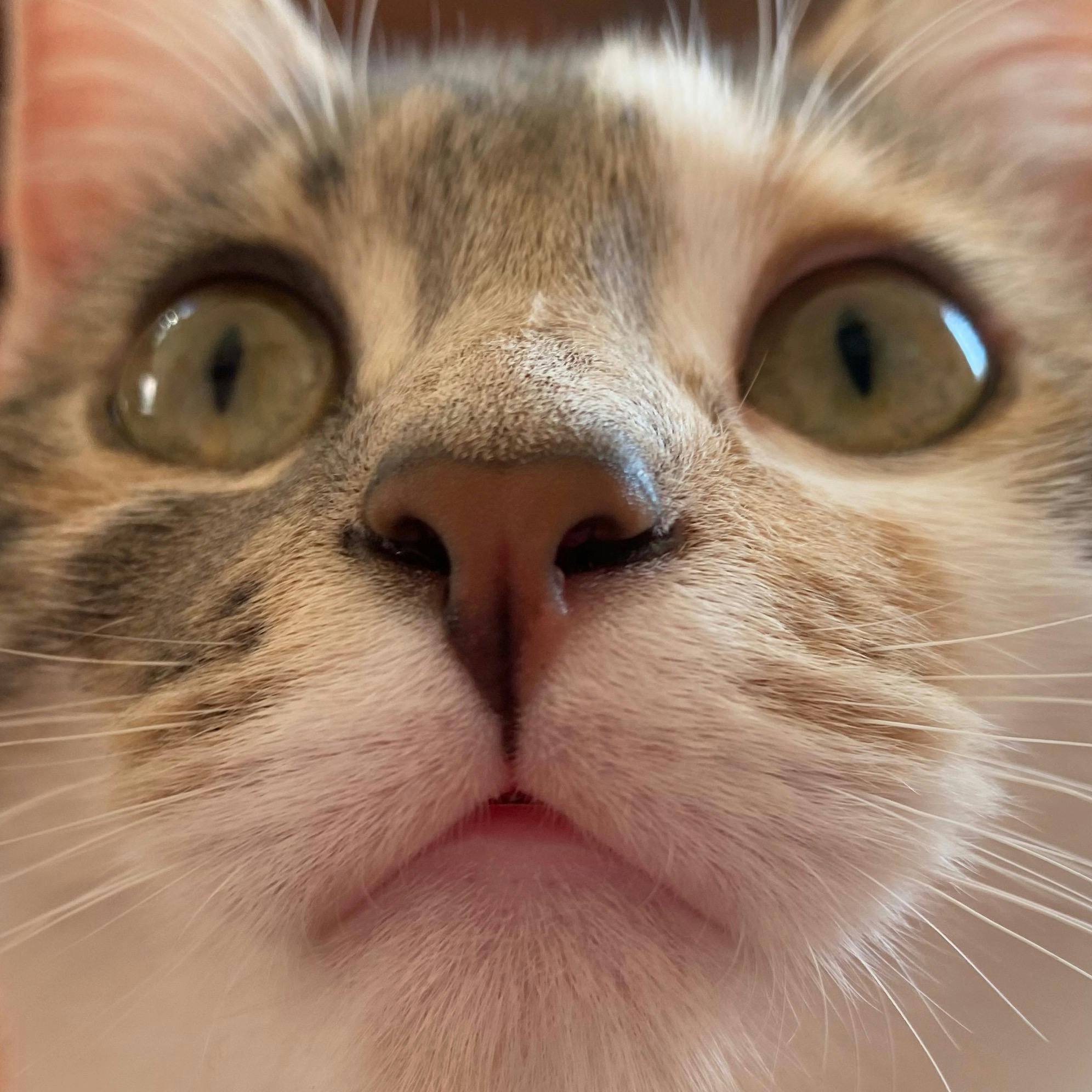 $unee ⋆˙ | Snipfeed