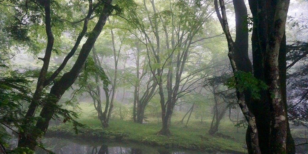 Planoly Creator Store | Hellenistic Birth Chart Consultation