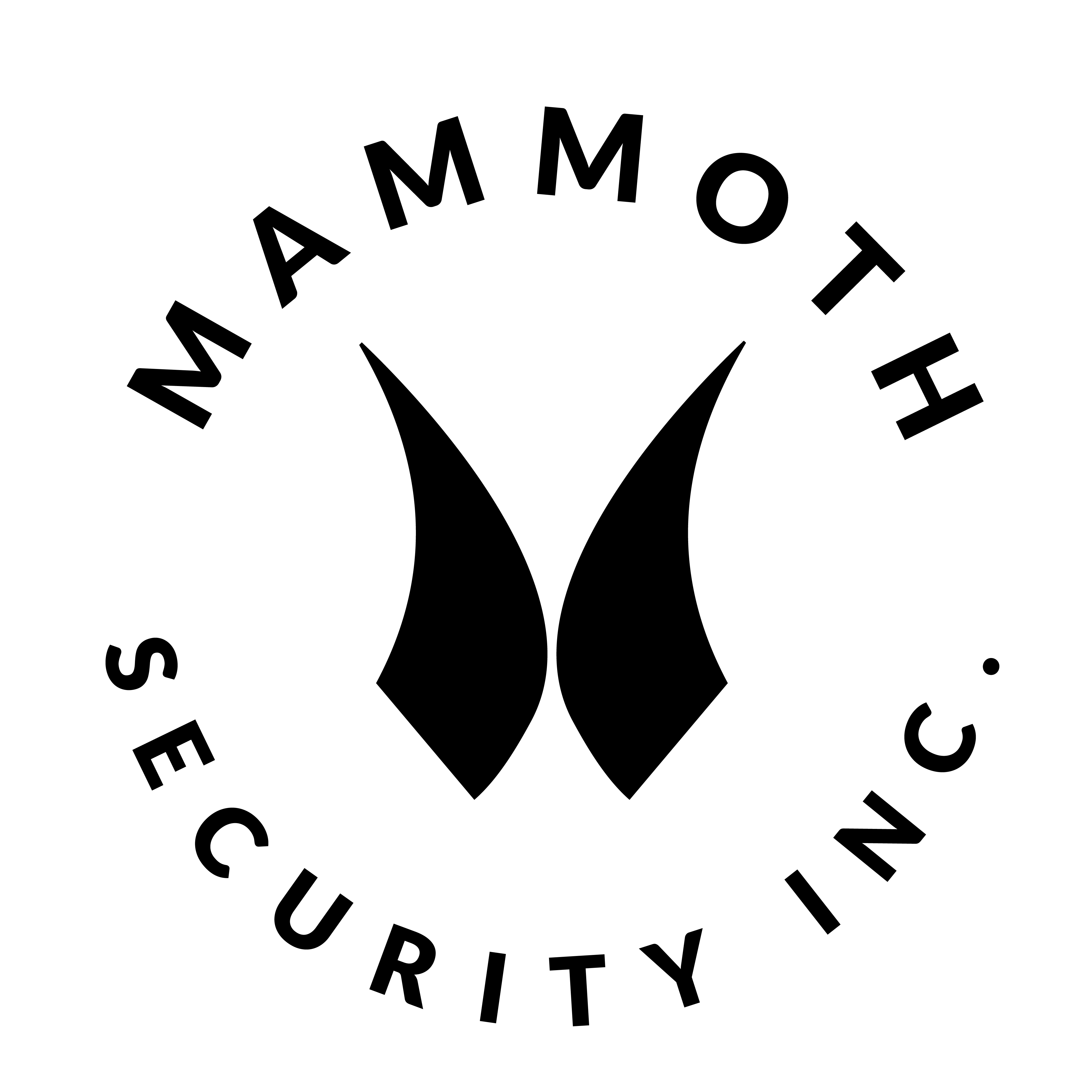 Mammoth Security Inc. Norwalk | Snipfeed