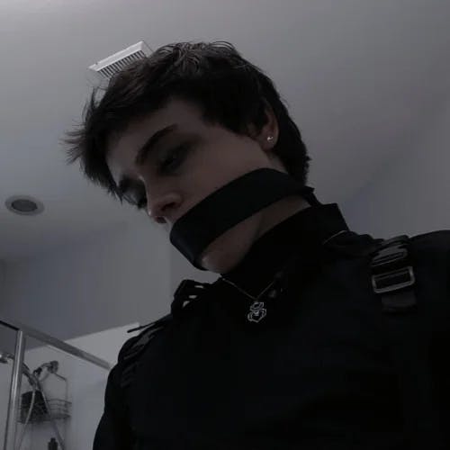 Planoly Creator Store | skhones